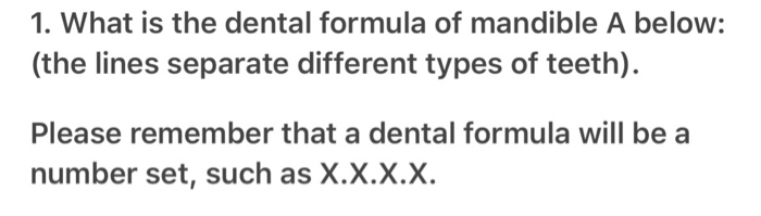 Solved 1. What is the dental formula of mandible A below: | Chegg.com