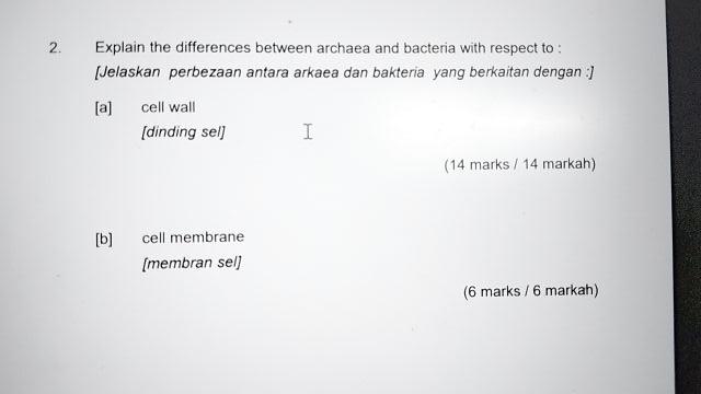 Solved 2. Explain the differences between archaea and | Chegg.com