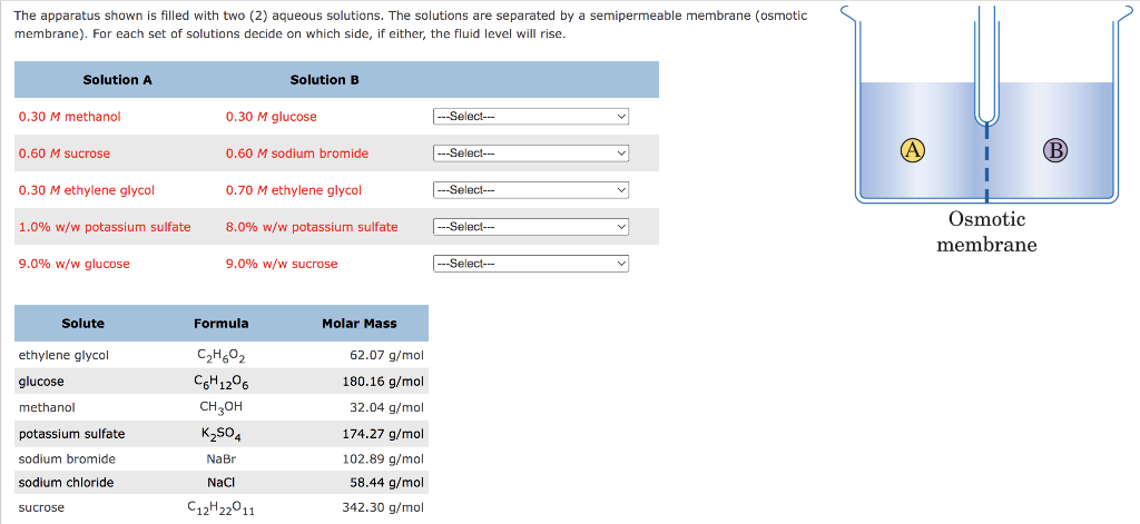 Solved The apparatus shown is filled with two (2) aqueous | Chegg.com