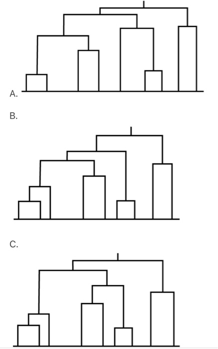 Q1. Given a network graph G, please explain the steps | Chegg.com