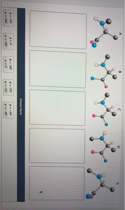 Solved Match the phi and psi values to their amino acid | Chegg.com