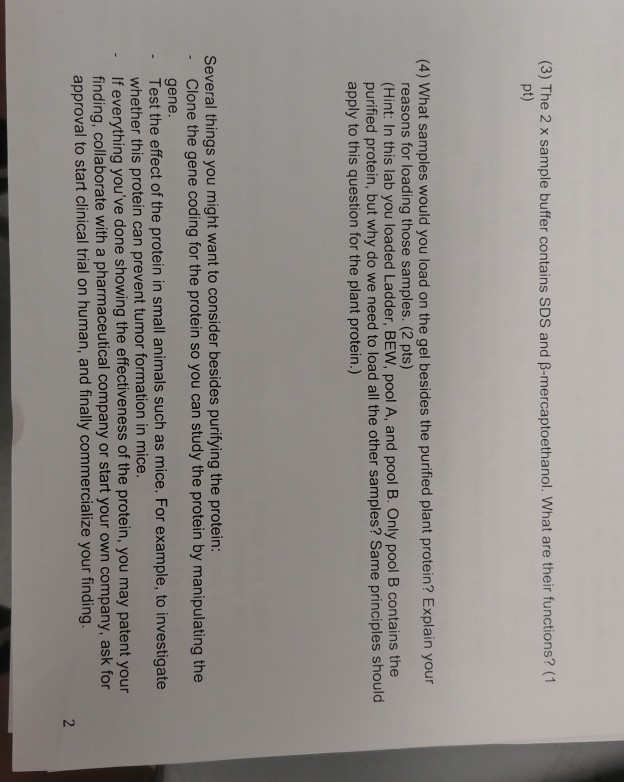 Solved (3) The 2x sample buffer contains SDS and | Chegg.com