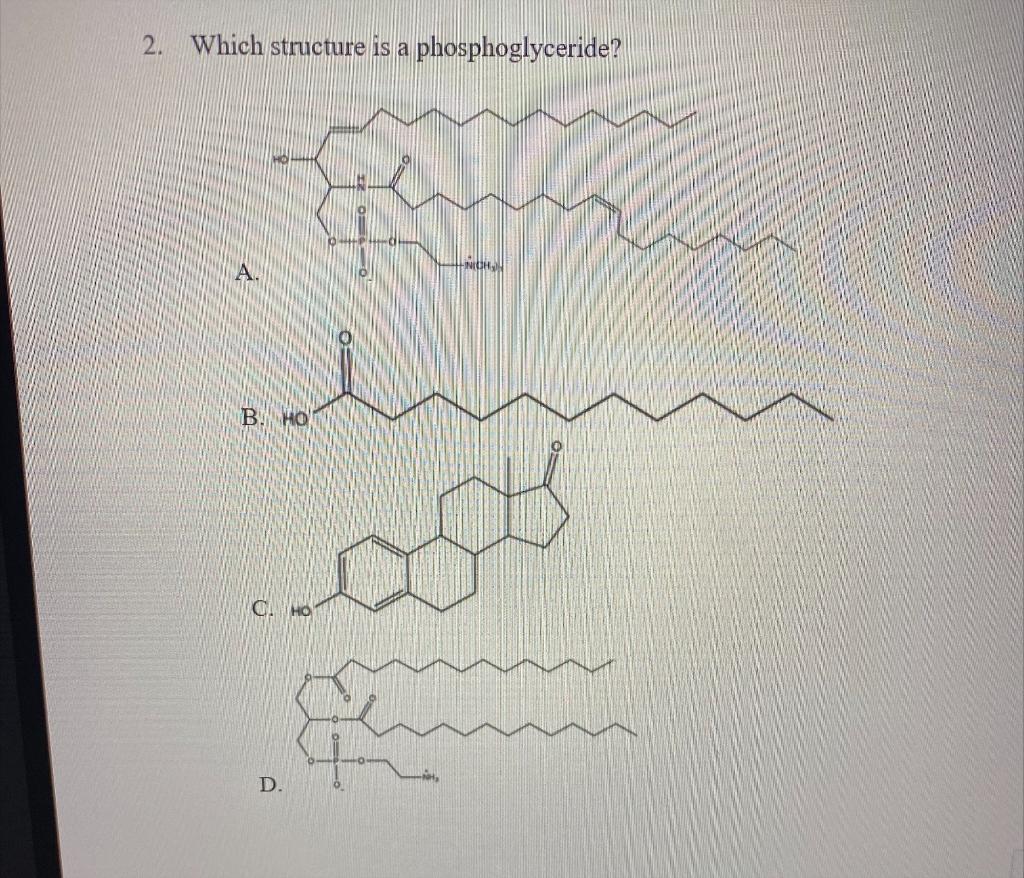 Solved 2. Which structure is a phosphoglyceride? a OD= OS w | Chegg.com