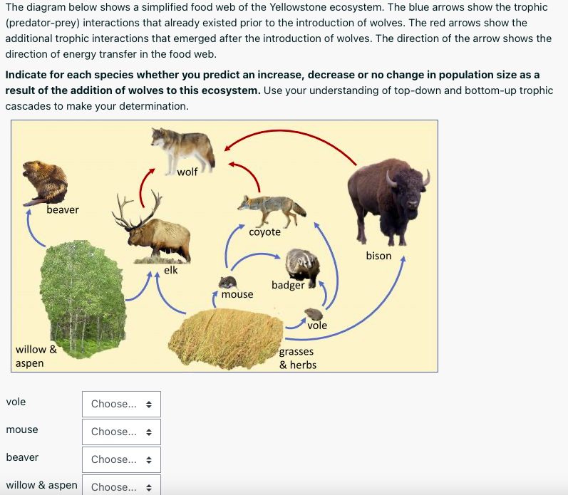 Solved The diagram below shows a simplified food web of the | Chegg.com
