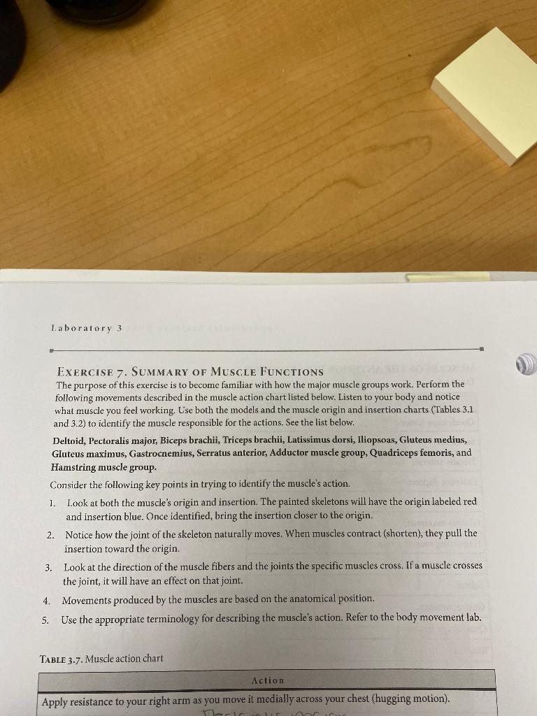 Solved Laboratory 3 EXERCISE 7. SUMMARY OF MUSCLE FUNCTIONS | Chegg.com