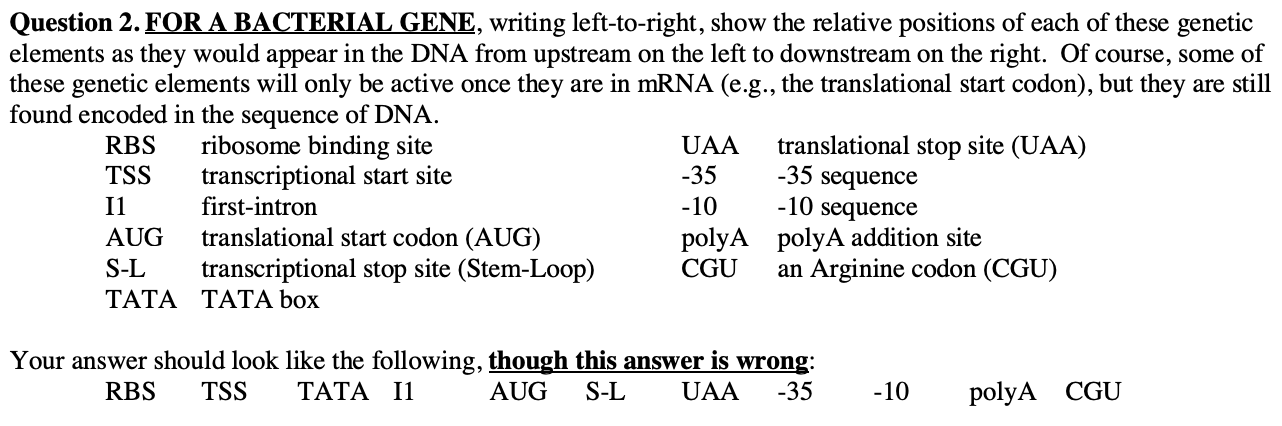 Solved Question 2. FOR A BACTERIAL GENE, writing | Chegg.com