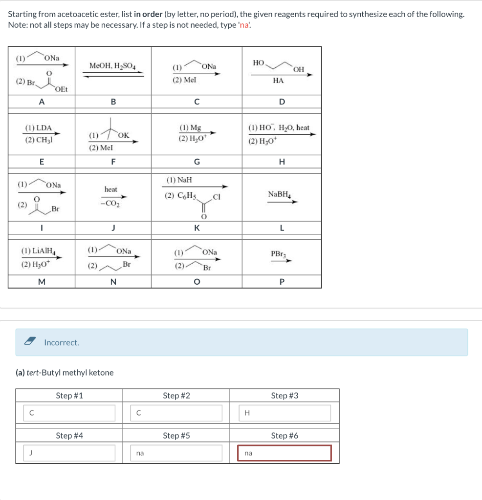 Solved Starting from acetoacetic ester, list in order (by | Chegg.com