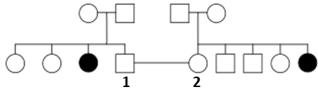 Solved 3. What mode of gene expression is exhibited in the | Chegg.com