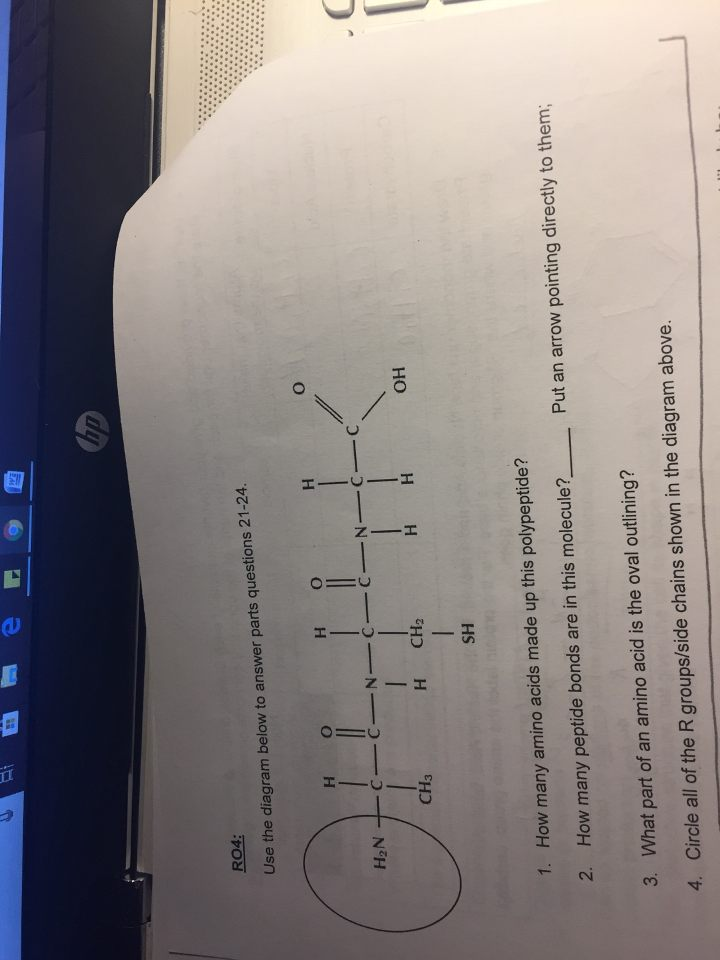 Solved RO4 Use the diagram below to answer parts questions | Chegg.com