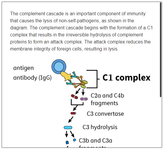 Solved The complement cascade is an important component of | Chegg.com