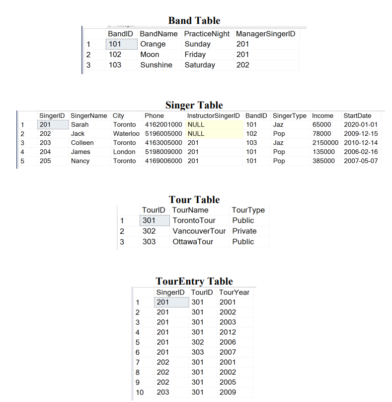 Solved Database Diagram Tour Column Name 9 TourlD Data Type | Chegg.com