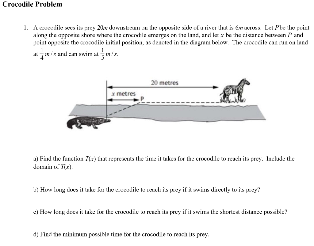 Solved Crocodile Problem 1. A crocodile sees its prey 20m | Chegg.com