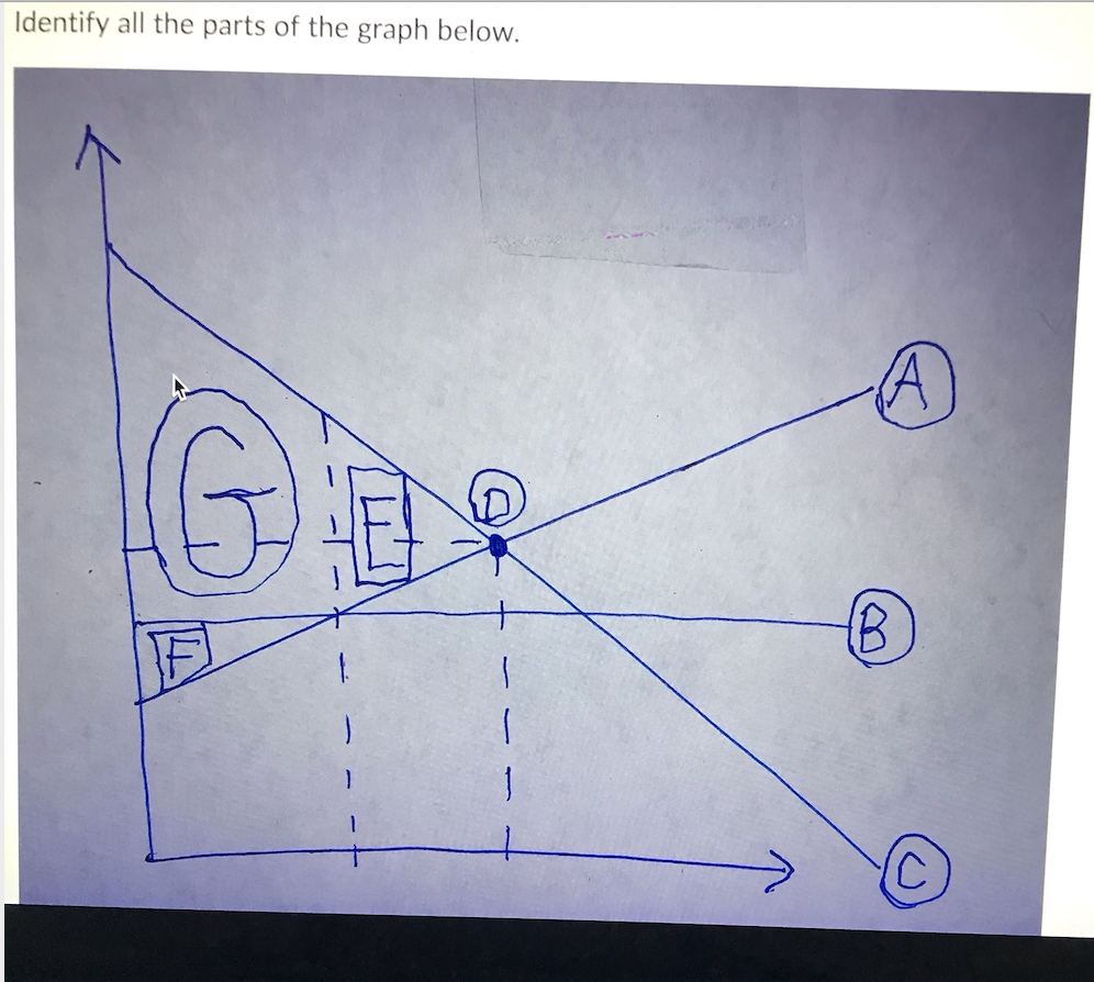 Solved Identify all the parts of the graph below. G IB В ) I | Chegg.com