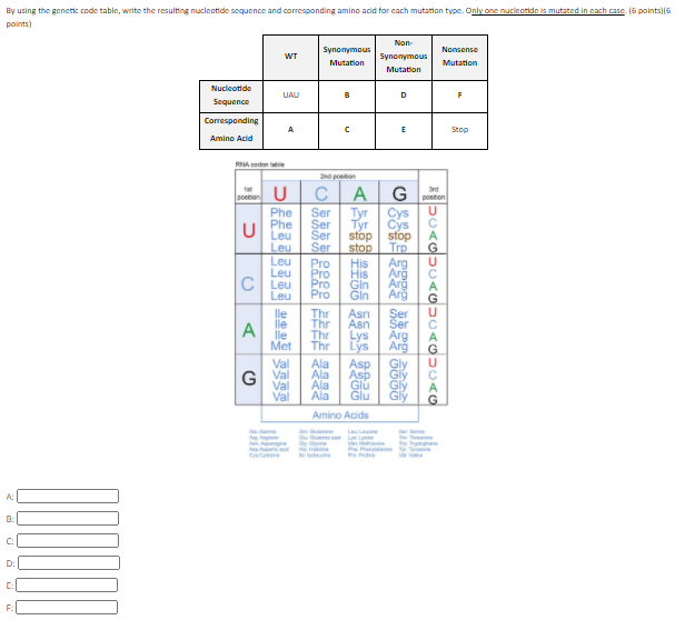 Solved By using the genetic code table, write the resulting | Chegg.com