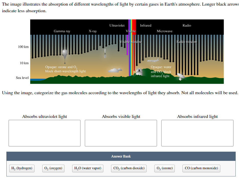 Solved The image illustrates the absorption of different | Chegg.com