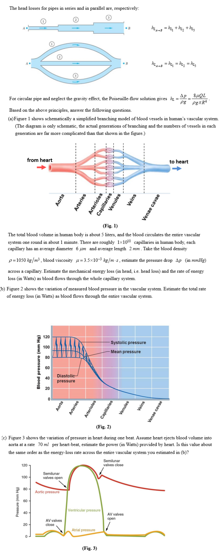 Solved The head losses for pipes in series and in parallel | Chegg.com