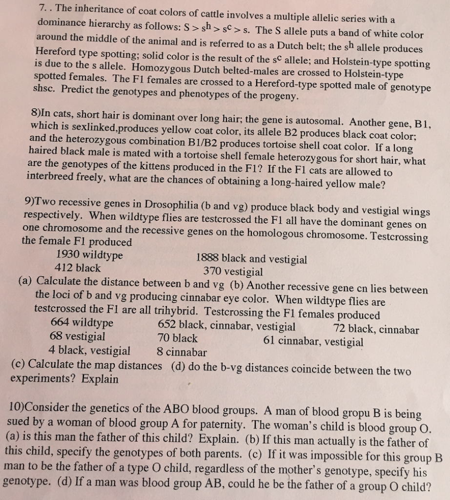 Solved 7. . The inheritance of coat colors of cattle | Chegg.com