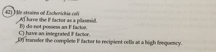 Solved 42) Hfr strains of Escherichia coli have the F factor | Chegg.com