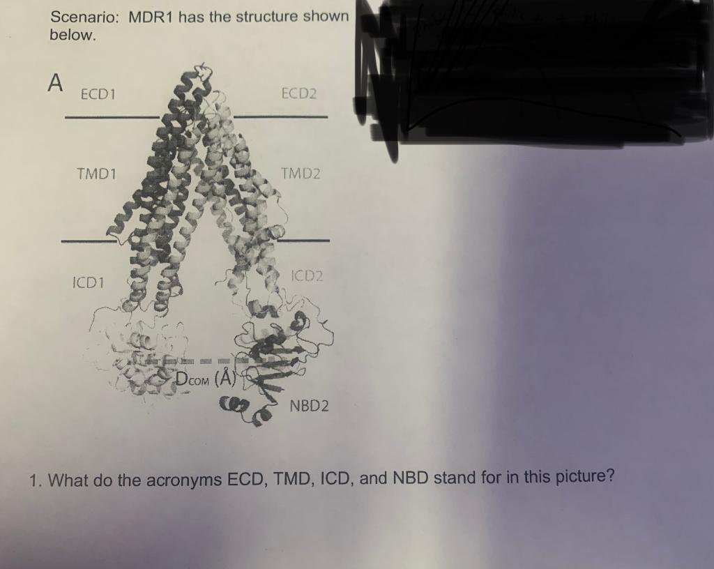 Solved What do the acronyms ECD, TMD, ICD, and NBD stand | Chegg.com
