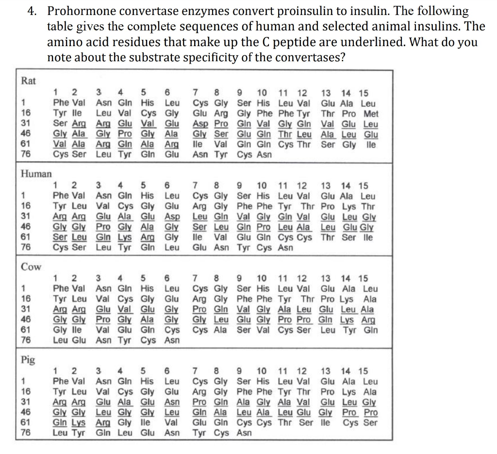 Prohormone convertase enzymes convert proinsulin to | Chegg.com