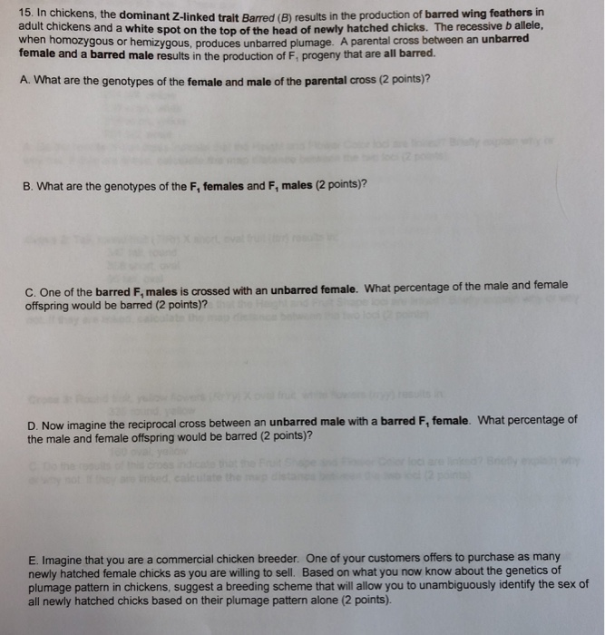 Solved 15. In chickens, the dominant Z-linked trait Barred | Chegg.com