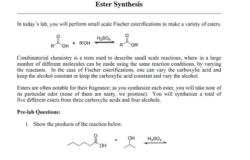 Solved Ester Synthesis In today's lab, you will perform | Chegg.com