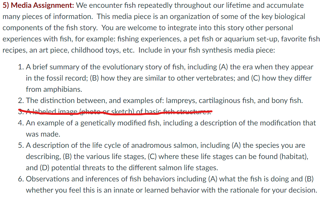 Solved 5) Media Assignment: We encounter fish repeatedly | Chegg.com