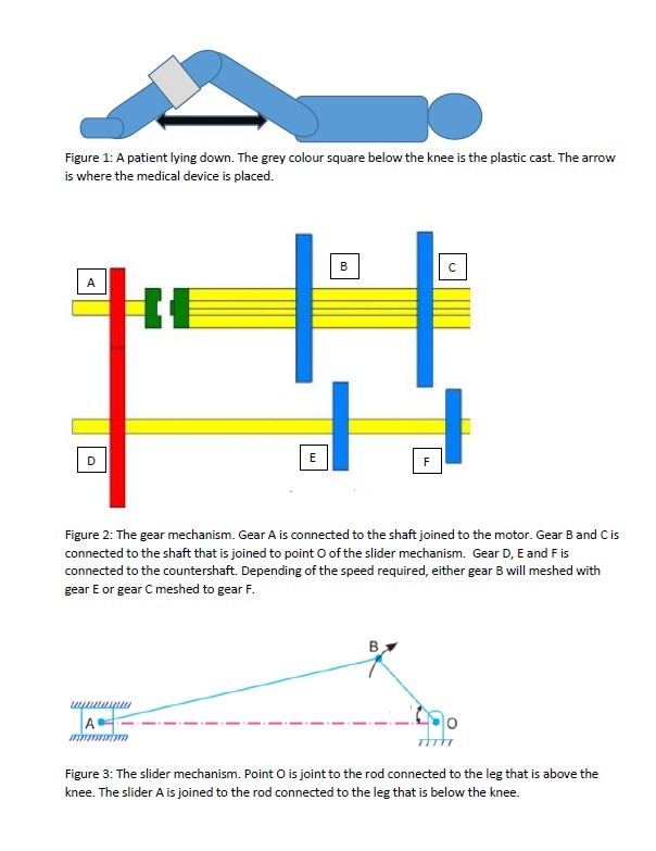 Anthropometric Dimensions for American Male American | Chegg.com