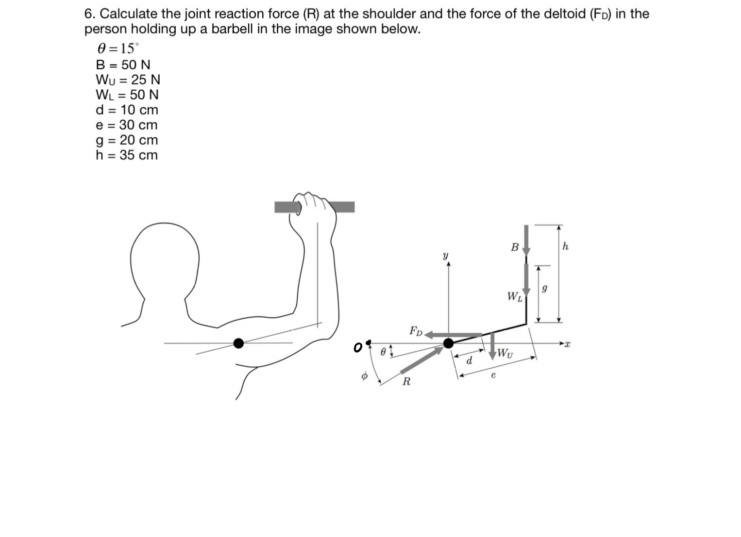 Solved 6. Calculate the joint reaction force (R) at the | Chegg.com