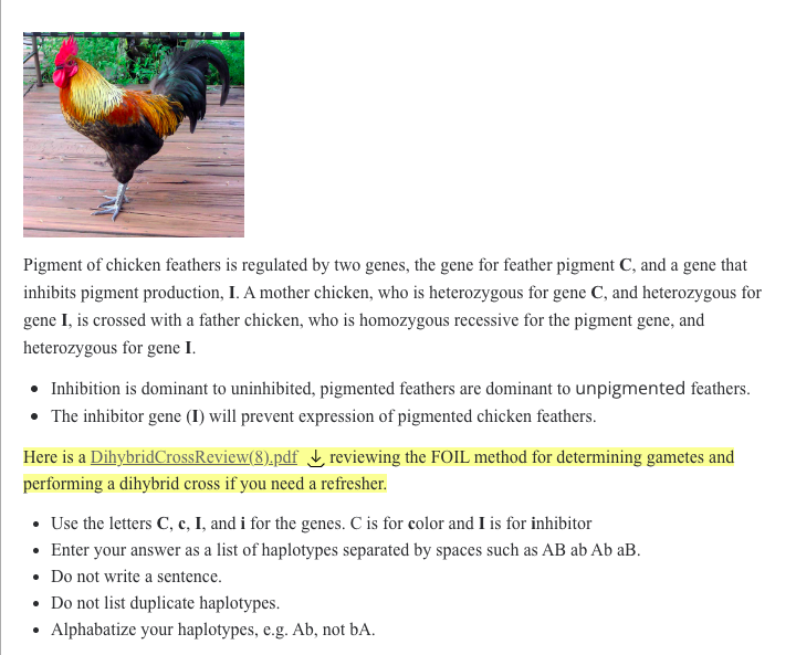 Solved Pigment of chicken feathers is regulated by two | Chegg.com