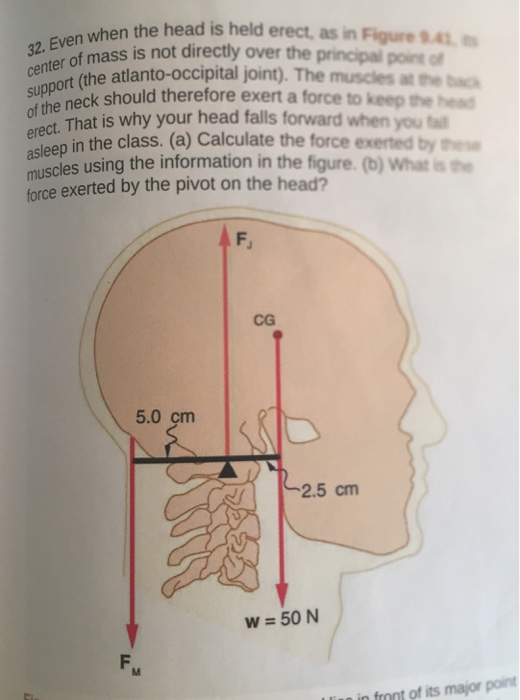 Solved when the head is held erect, as in Figure 9.41 the | Chegg.com