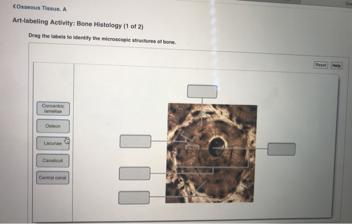 Solved Cou | Chegg.com