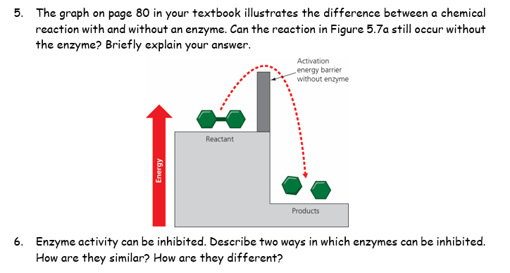 Solved 1. A molecule that speeds up chemical reactions is | Chegg.com
