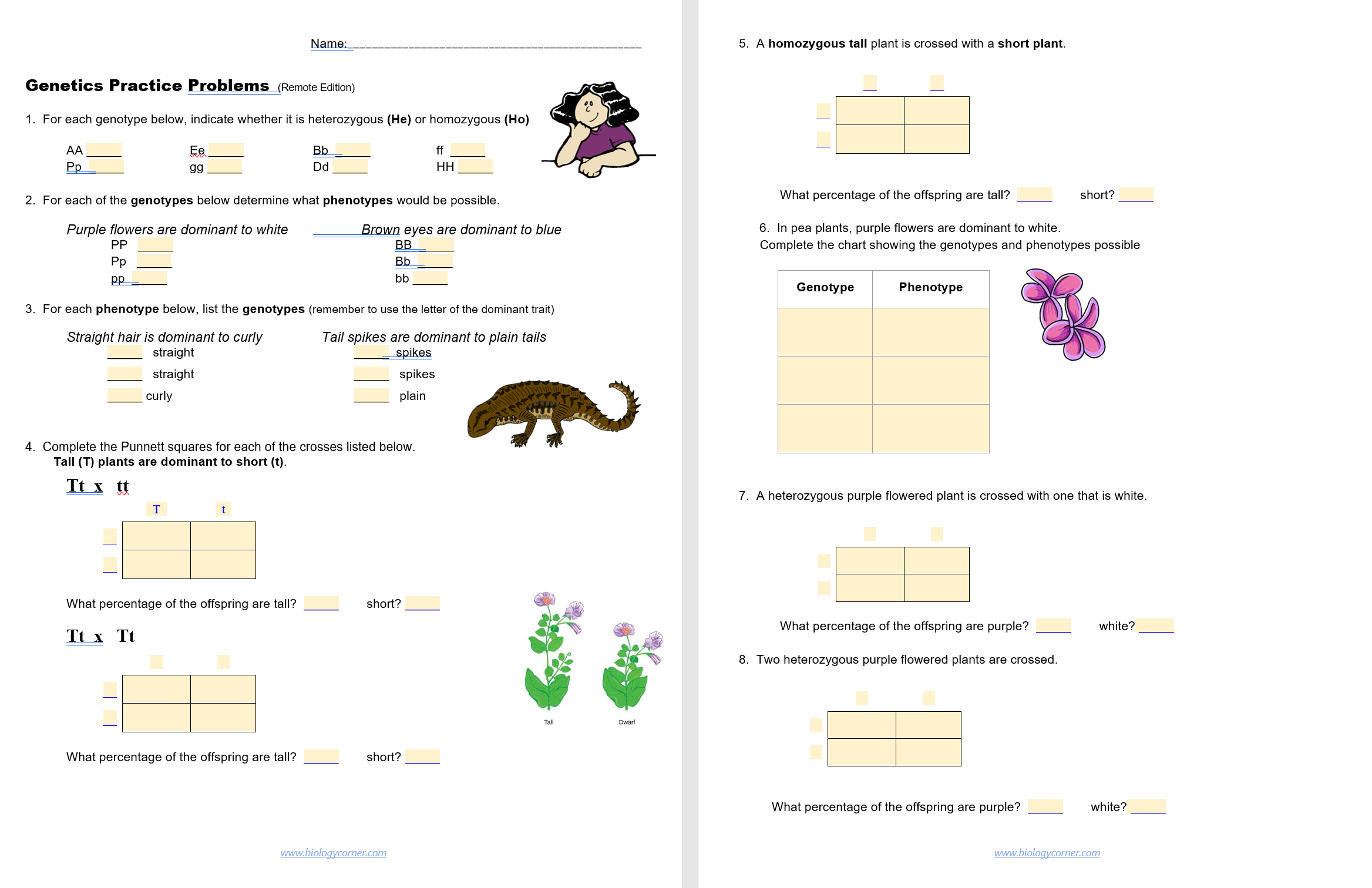 Solved Name: 5. A homozygous tall plant is crossed with a | Chegg.com