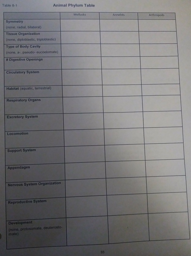 Solved Table 8-1 Animal Phylum Table Mollusks Annelids | Chegg.com