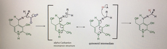 Solved OPP Coe N CH OP OH N CH3 alpha-Carbanion resonance | Chegg.com