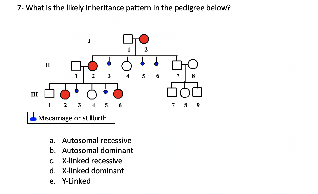 Solved 7- What is the likely inheritance pattern in the | Chegg.com