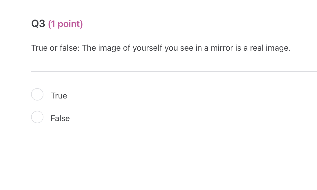 Q3 (1 ﻿point)True or false: The image of yourself you | Chegg.com