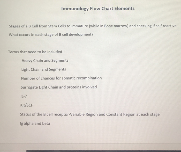 Solved Immunology Flow Chart Elements Stages of a B Cell | Chegg.com