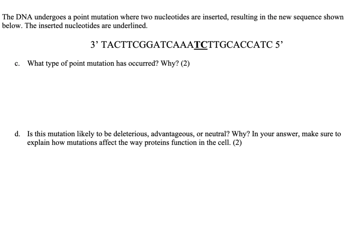 Solved The DNA undergoes a point mutation where two | Chegg.com