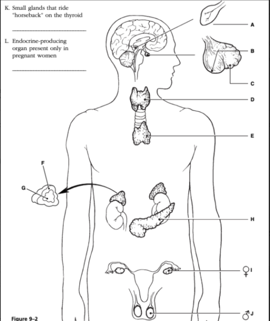 Solved K. L. | Chegg.com