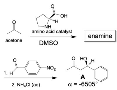 Solved Draw the structure of the enamine that results | Chegg.com