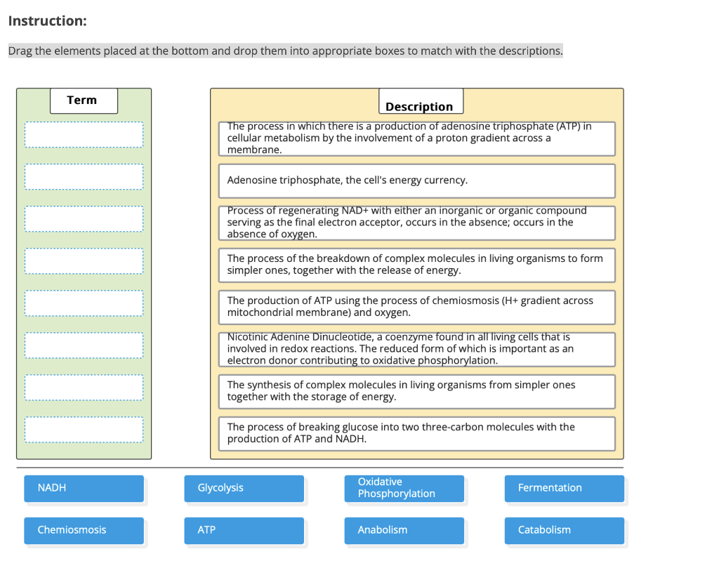 Solved Instruction: Drag the elements placed at the bottom | Chegg.com
