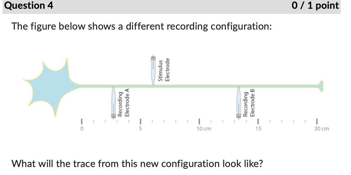 Solved Question 4 ﻿CThe figure below shows a different | Chegg.com