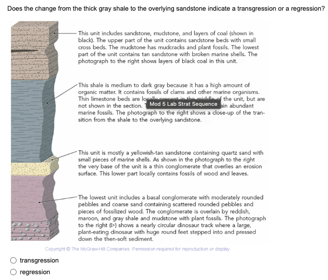 Solved Does the change from the thick gray shale to the | Chegg.com
