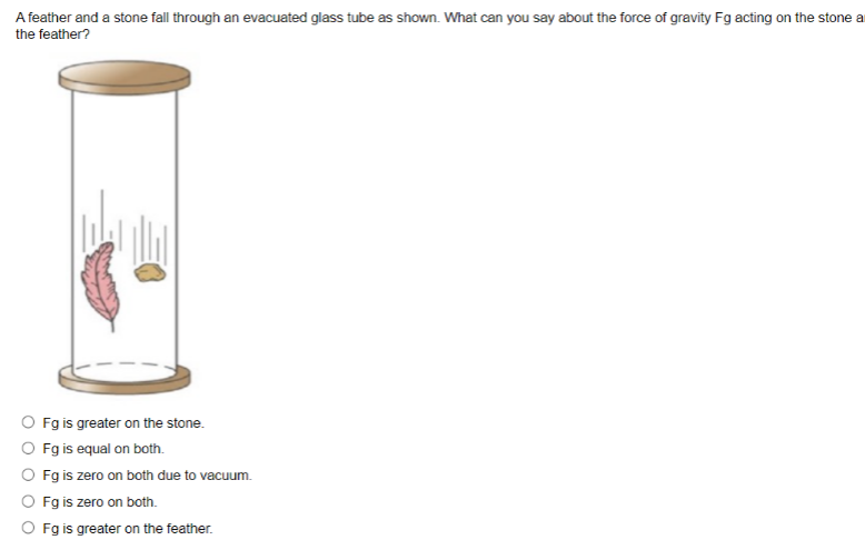 Solved A feather and a stone fall through an evacuated glass | Chegg.com