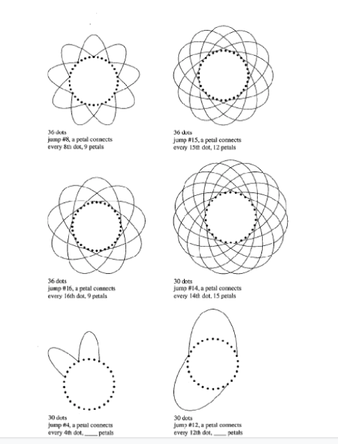 9 Petal Flower | Best Flower Site