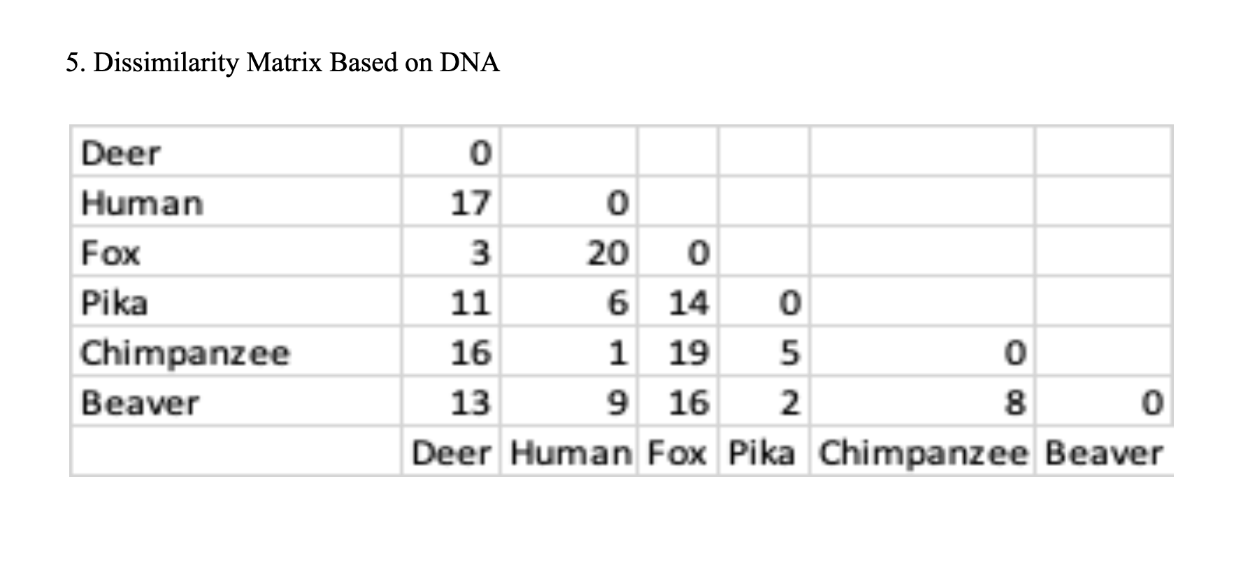 Solved 5. Dissimilarity Matrix Based on DNA 17 o Deer Human | Chegg.com