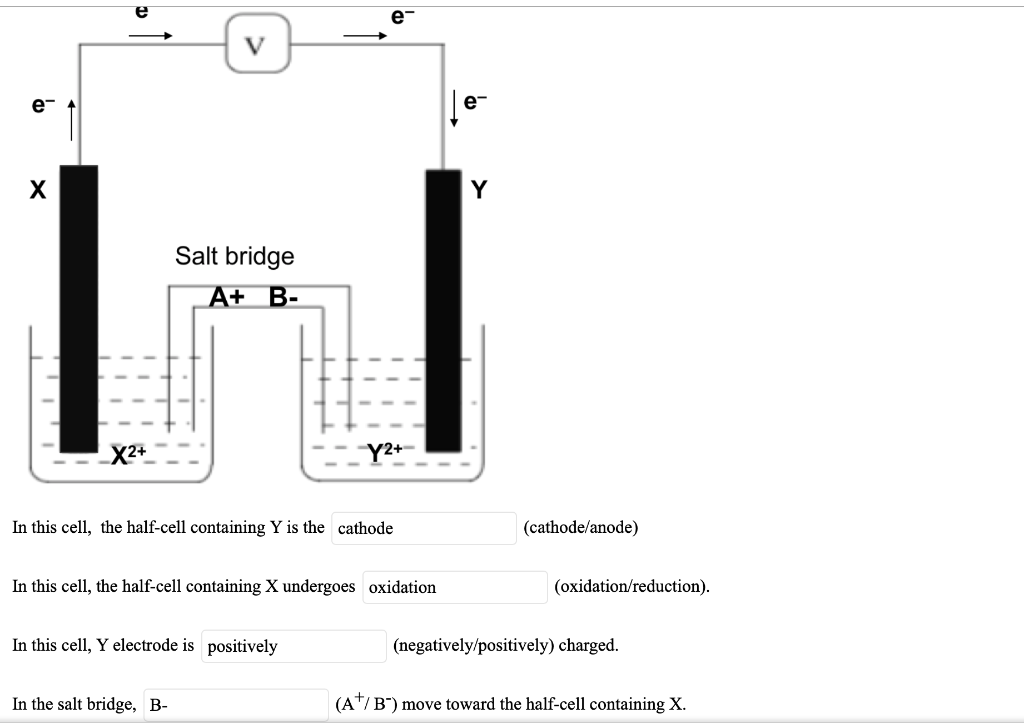 Solved Salt bridge A+ B- X2+ - In this cell, the half-cell | Chegg.com