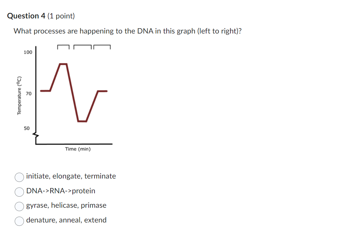 Solved What processes are happening to the DNA in this graph | Chegg.com